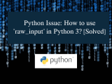 Python Issue How To Use Raw Input In Python 3 Solved Sourcecodester